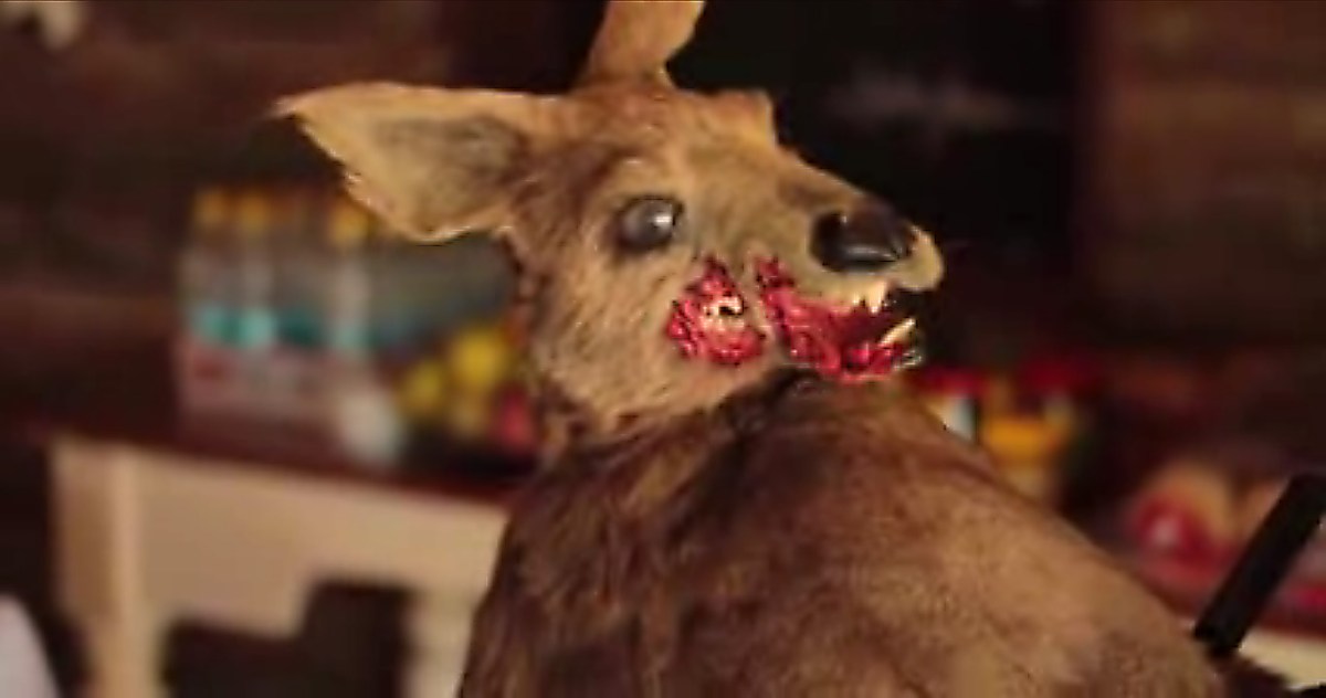 Anticipation builds for zombie kangaroo film – Zombie Apocalypse Monthly